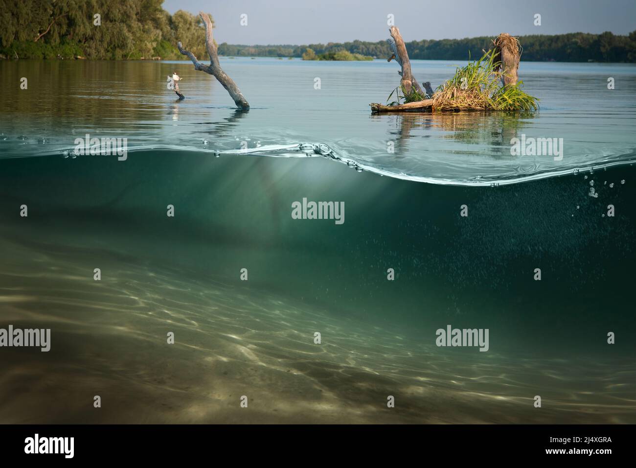 Underwater background. Design template with underwater part Stock Photo ...