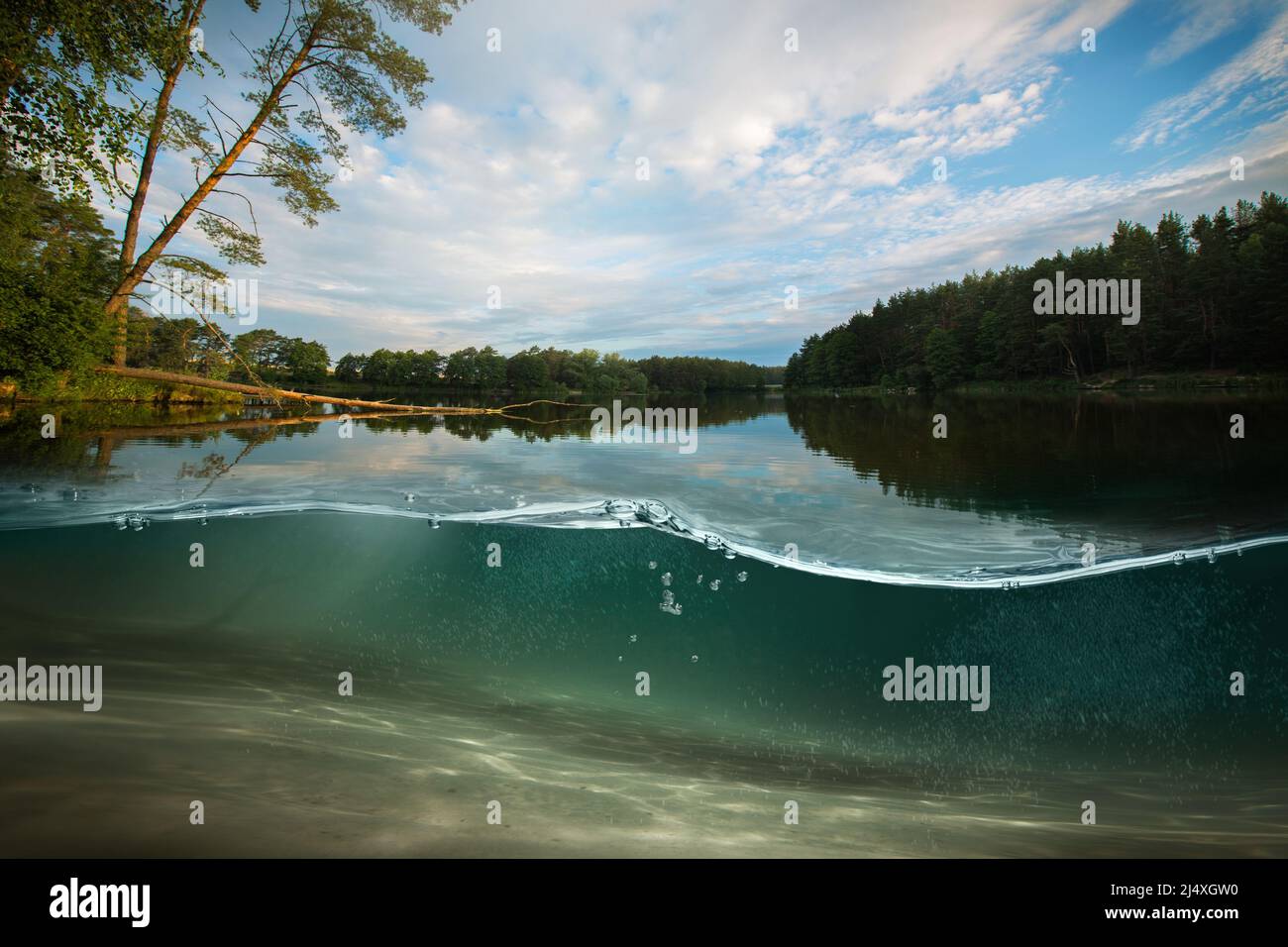 Underwater background. Design template with underwater part Stock Photo ...