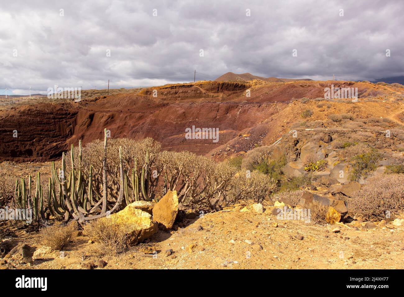 A desert landscape in Tenerife, Canary Islands, Spain Stock Photo - Alamy