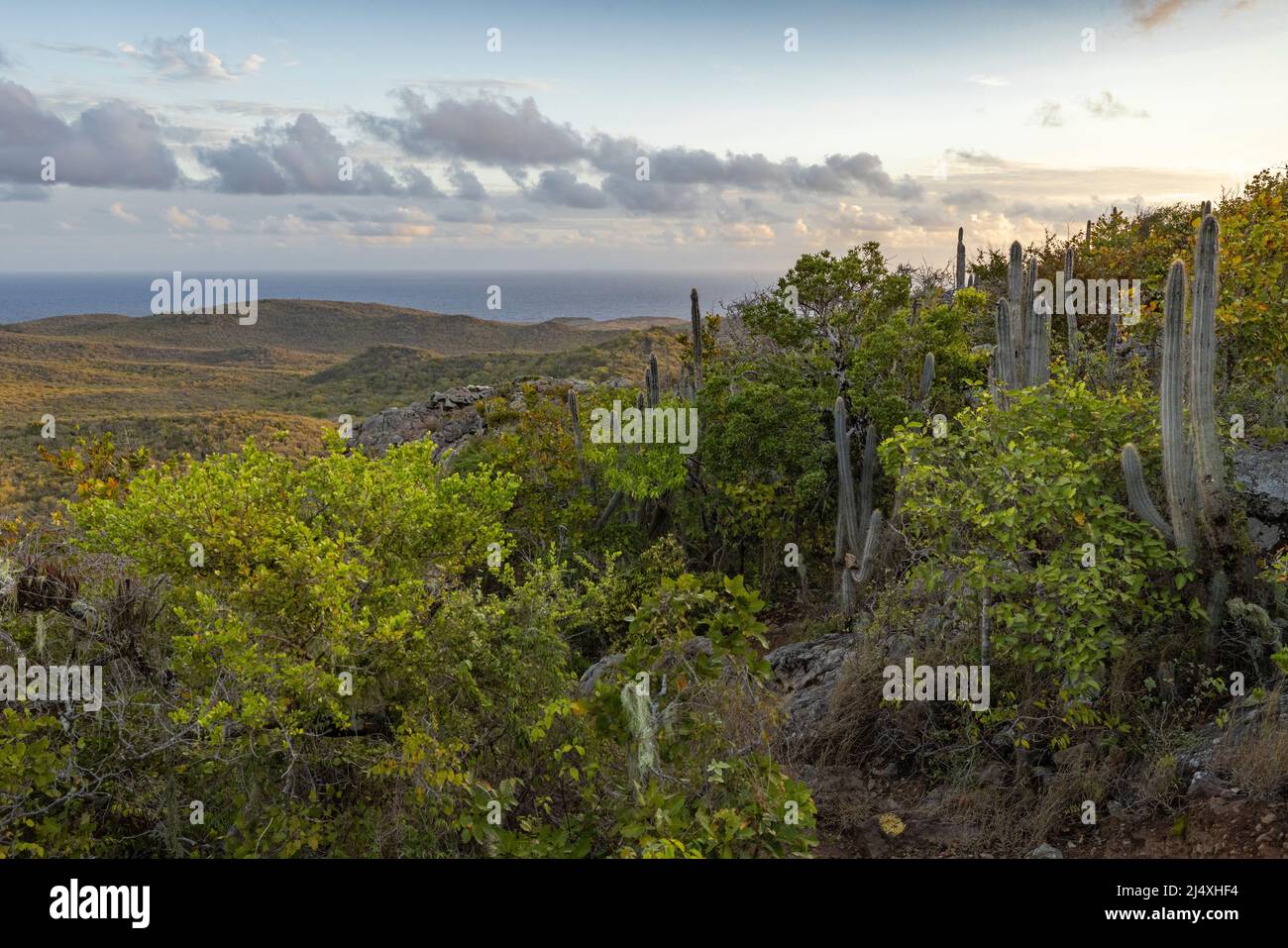 Sunrise over Christoffel National Park during the hike up to the top of ...