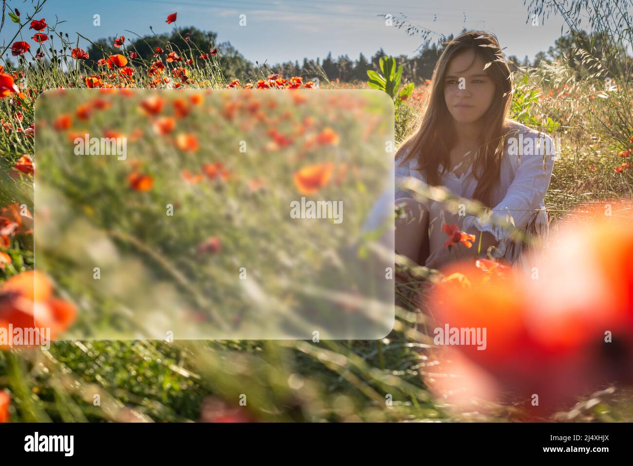 Young woman sitting in poppy feild., relaxing ,provence France.,glass ...