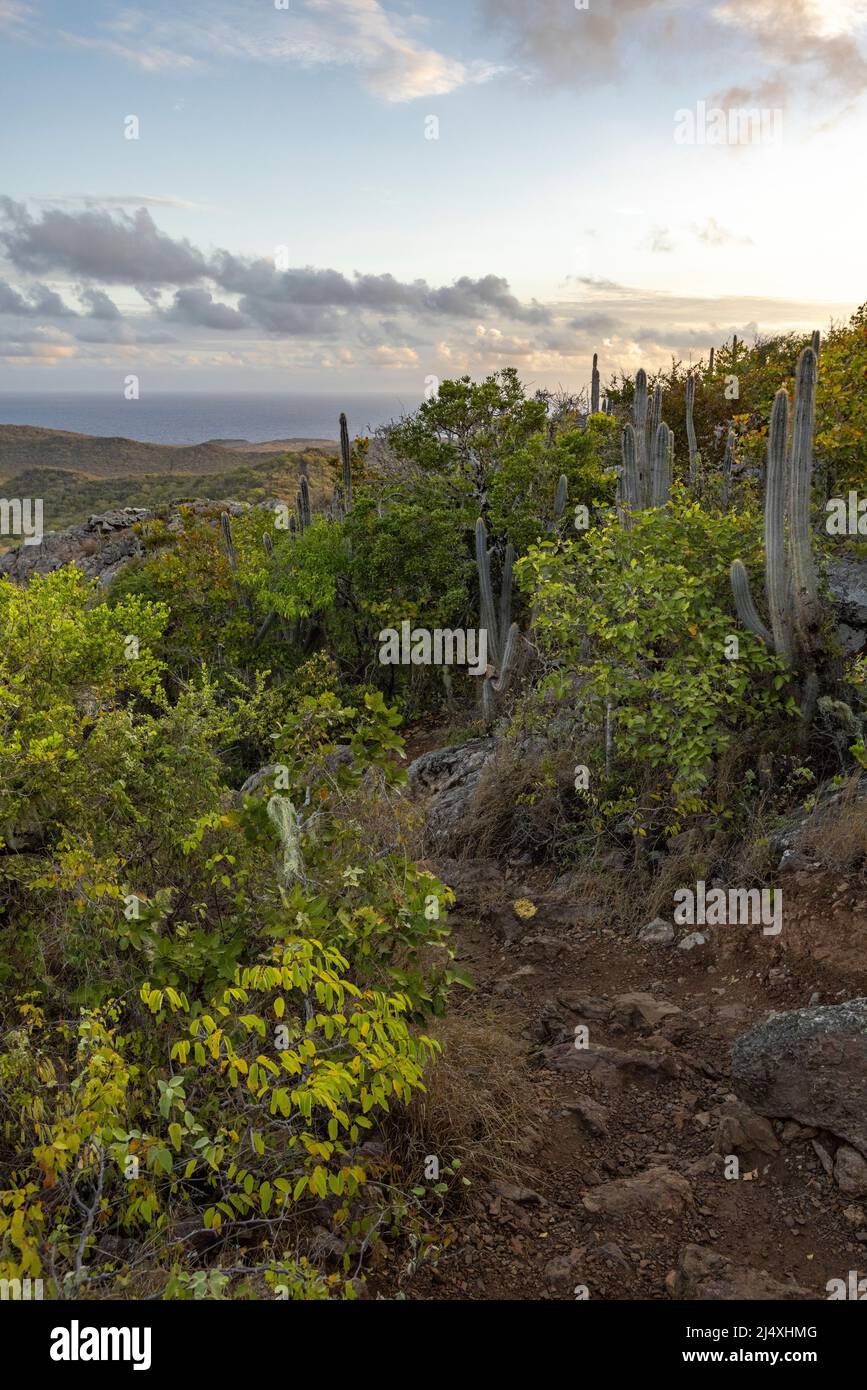 Sunrise over Christoffel National Park during the hike up to the top of ...