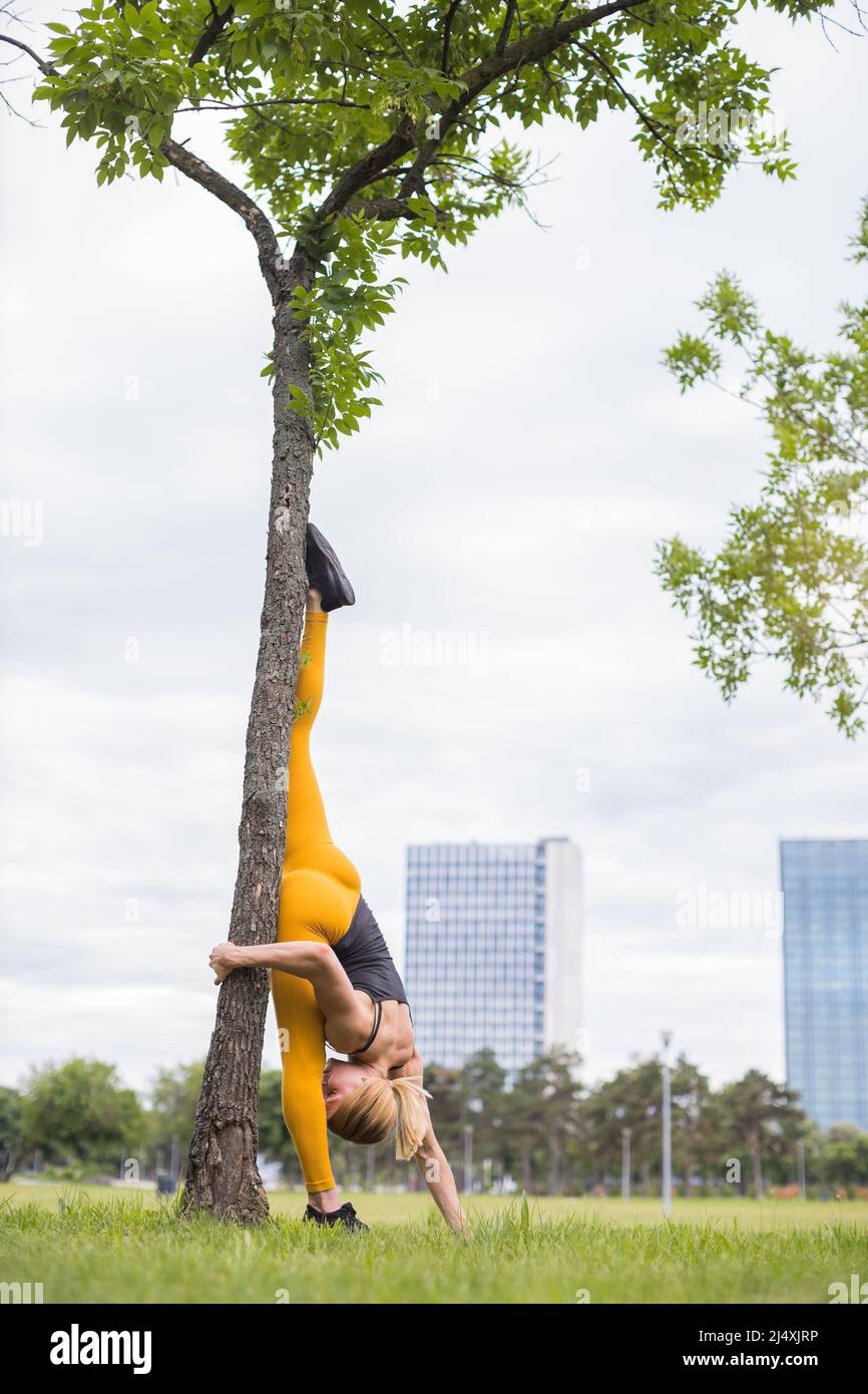 upside down split leaning on a tree Stock Photo - Alamy