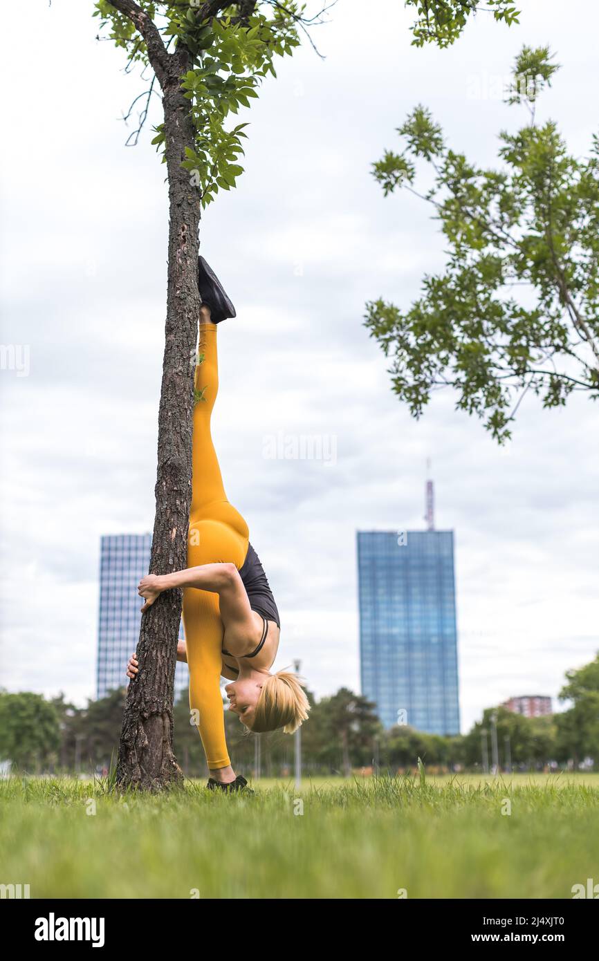 vertical split leaning on a tree with head down Stock Photo - Alamy