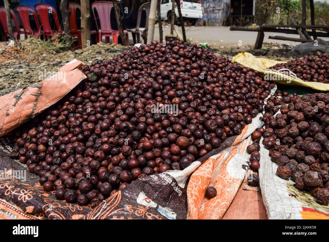 Jungle fruit hi-res stock photography and images - Alamy