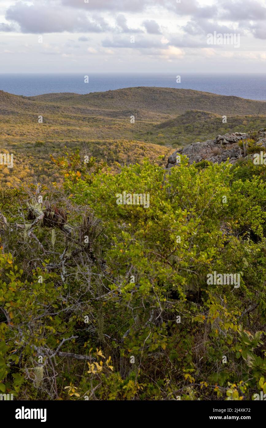 Sunrise over Christoffel National Park during the hike up to the top of ...