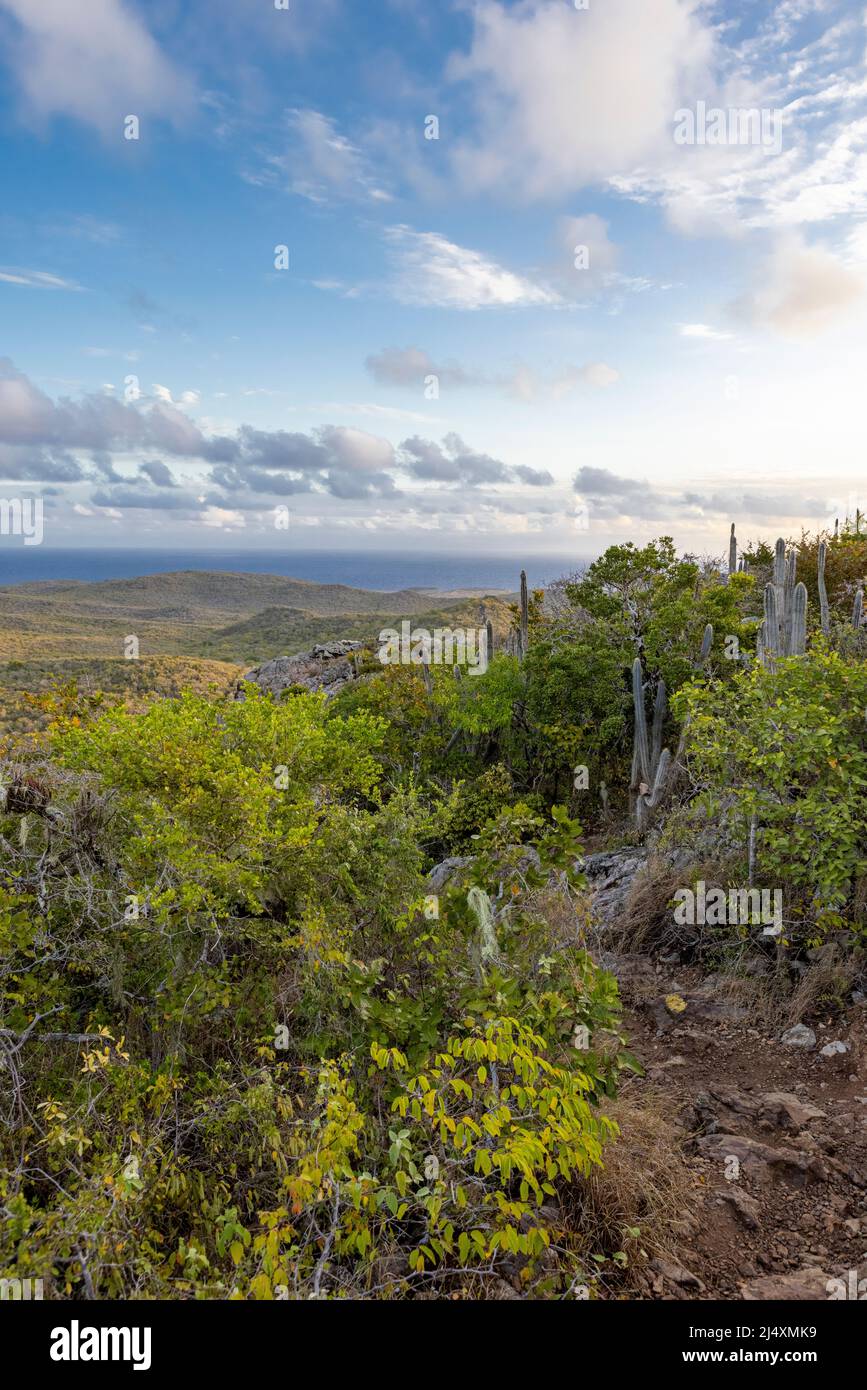 Sunrise over Christoffel National Park during the hike up to the top of ...
