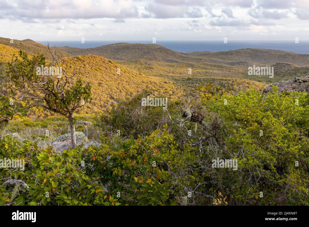 Sunrise over Christoffel National Park during the hike up to the top of ...