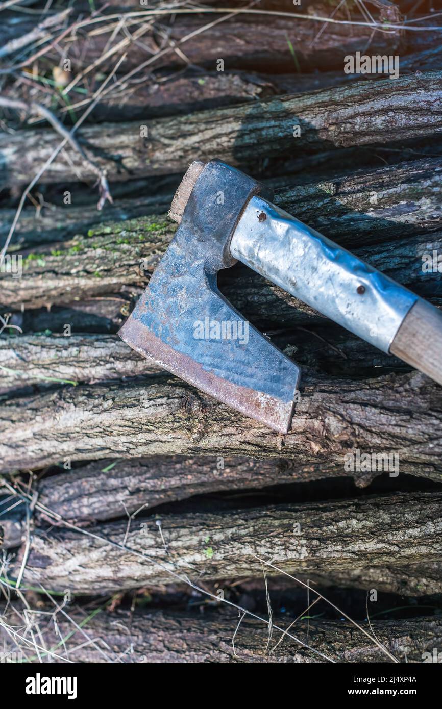 antique ax laying on cut pieces of wood Stock Photo - Alamy