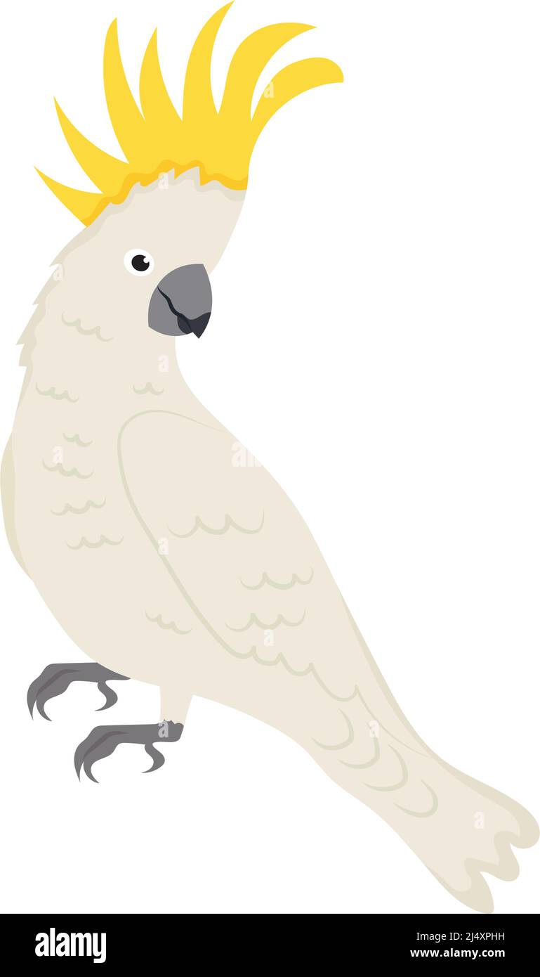 Flying cockatoo Stock Vector Images - Alamy