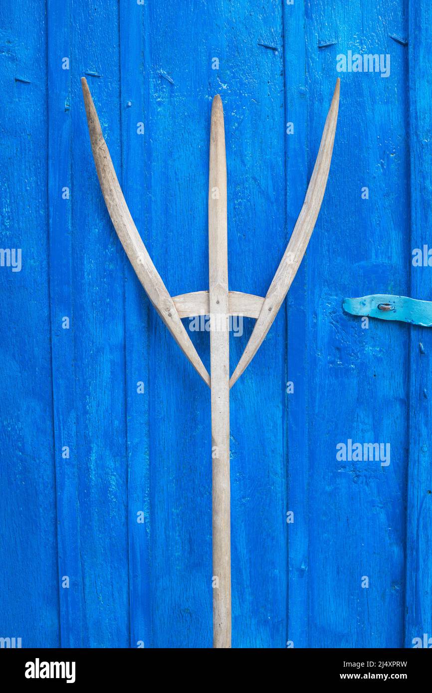 old wooden pitchfork leaning on blue barn door Stock Photo - Alamy