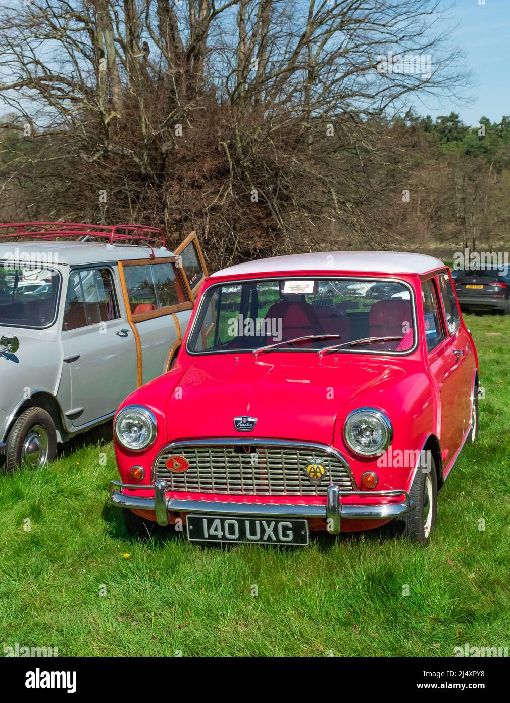 A bright pink classic Mini car parked up at the Henham Easter County ...