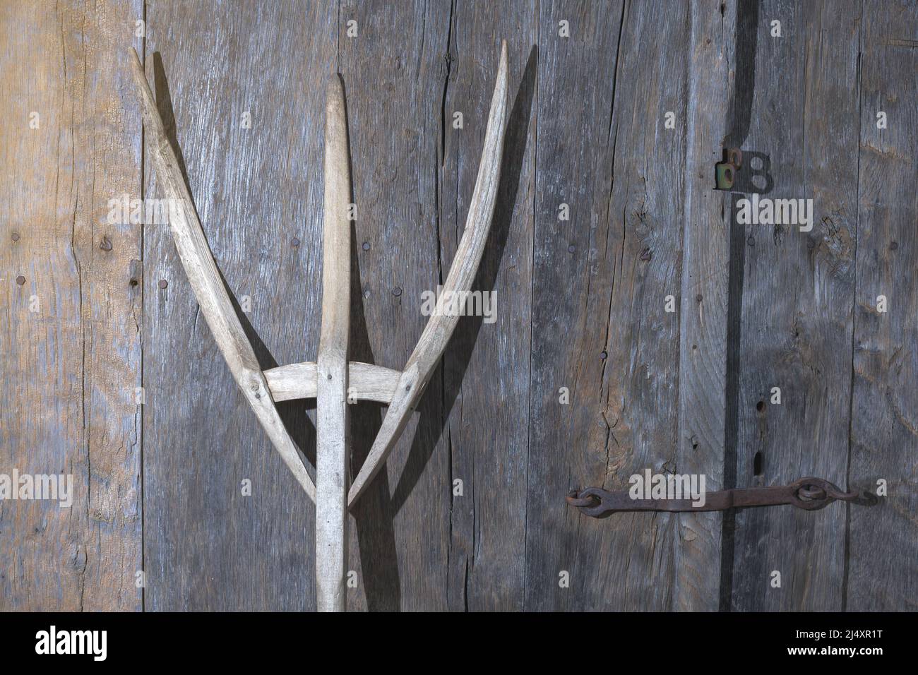 old wooden pitchfork leaning on barn door Stock Photo - Alamy