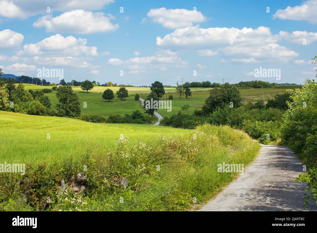 rural landscape with road and clearing Stock Photo - Alamy