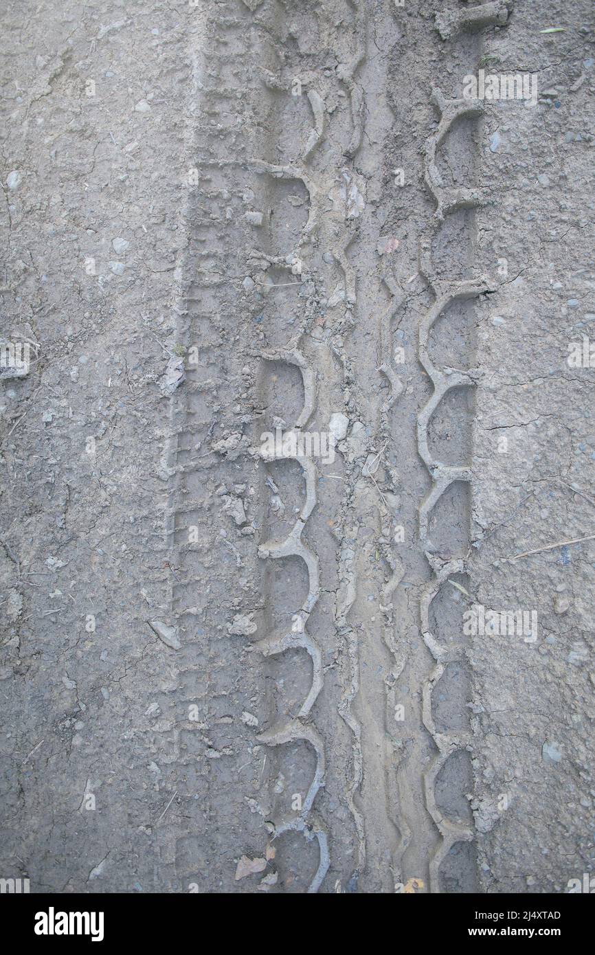 tire tracks in dry mud Stock Photo - Alamy