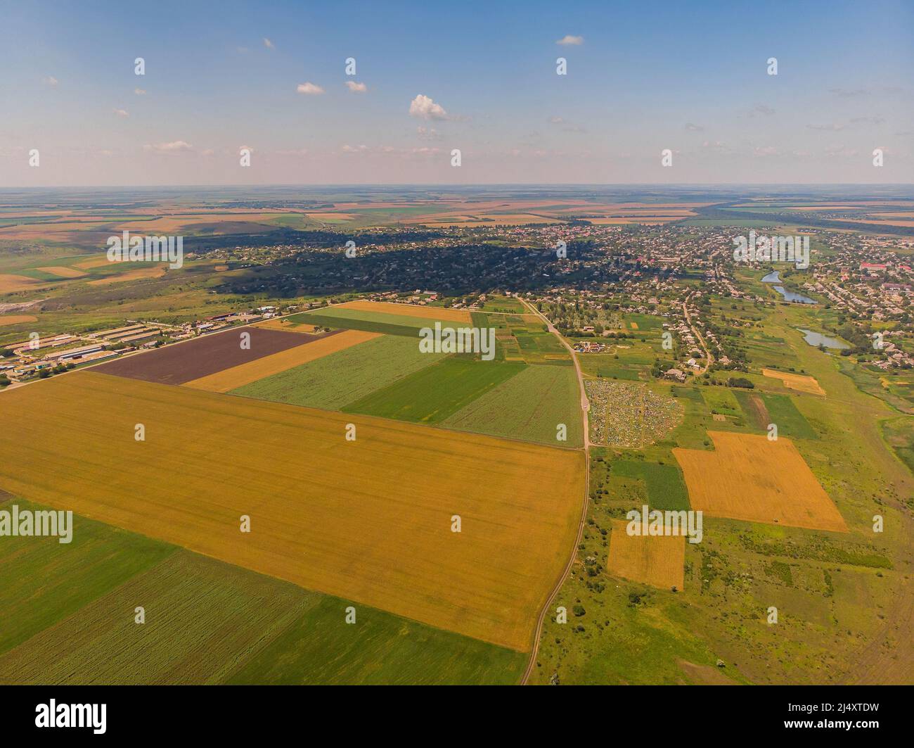 Wheat field from a height, top view, photographed by drone Stock Photo ...
