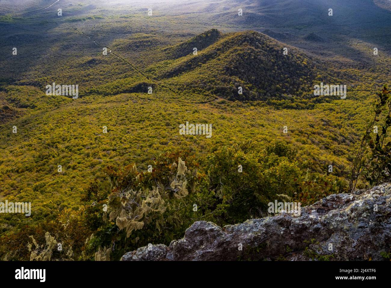 View from Mount Christoffel down to Christoffel National Park on the ...