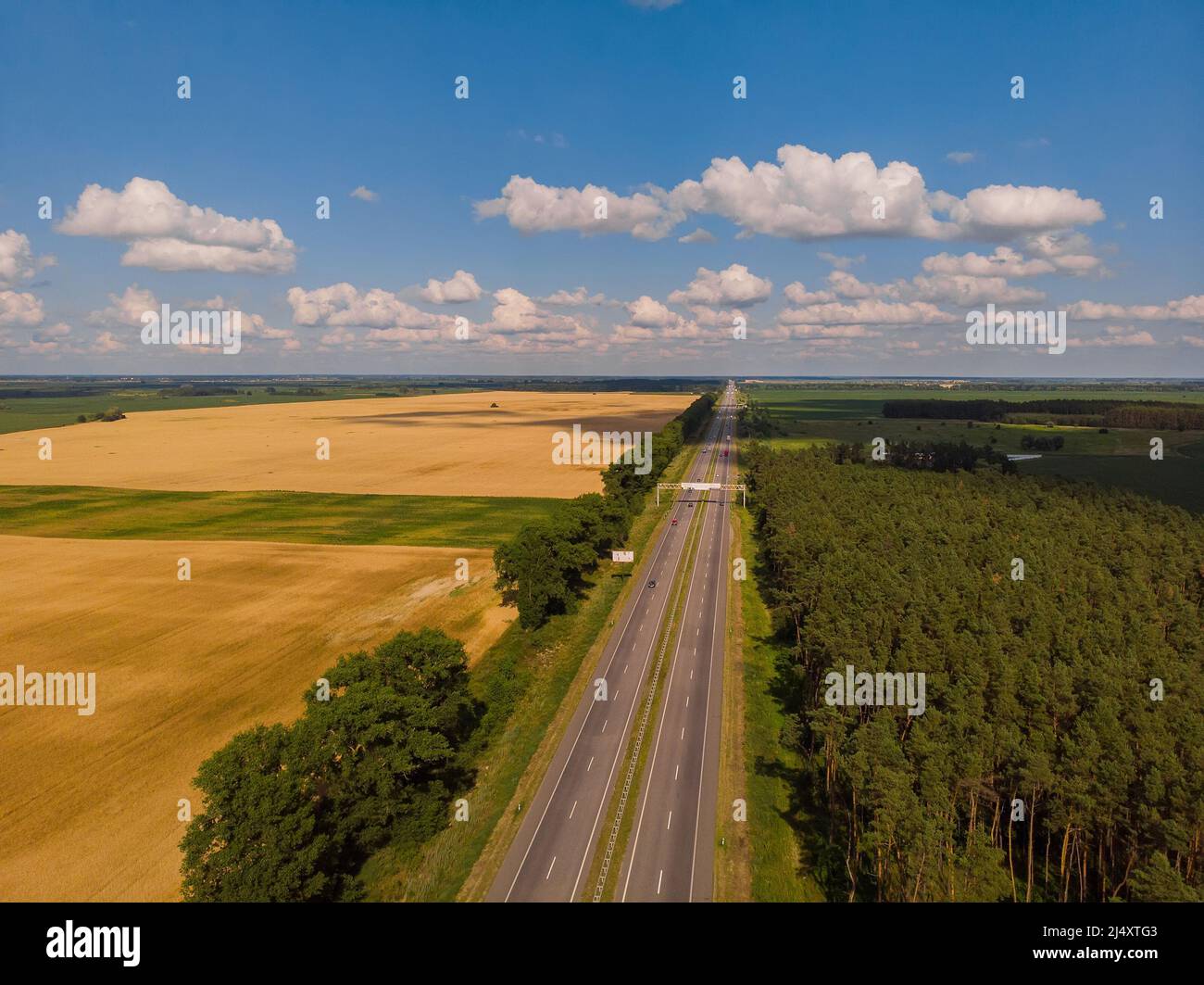 Wheat field from a height, top view, photographed by drone Stock Photo ...