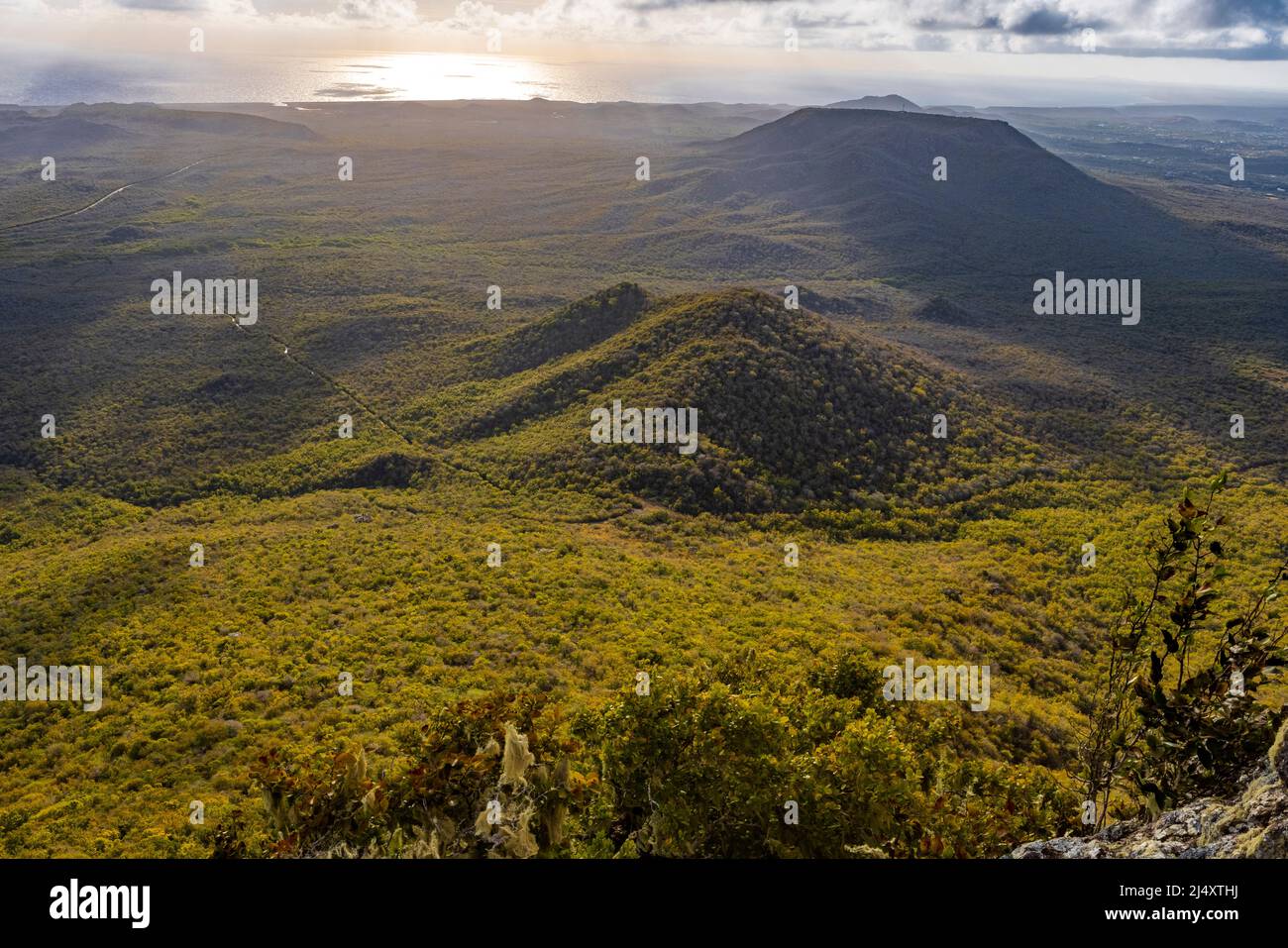 View from Mount Christoffel down to Christoffel National Park on the ...