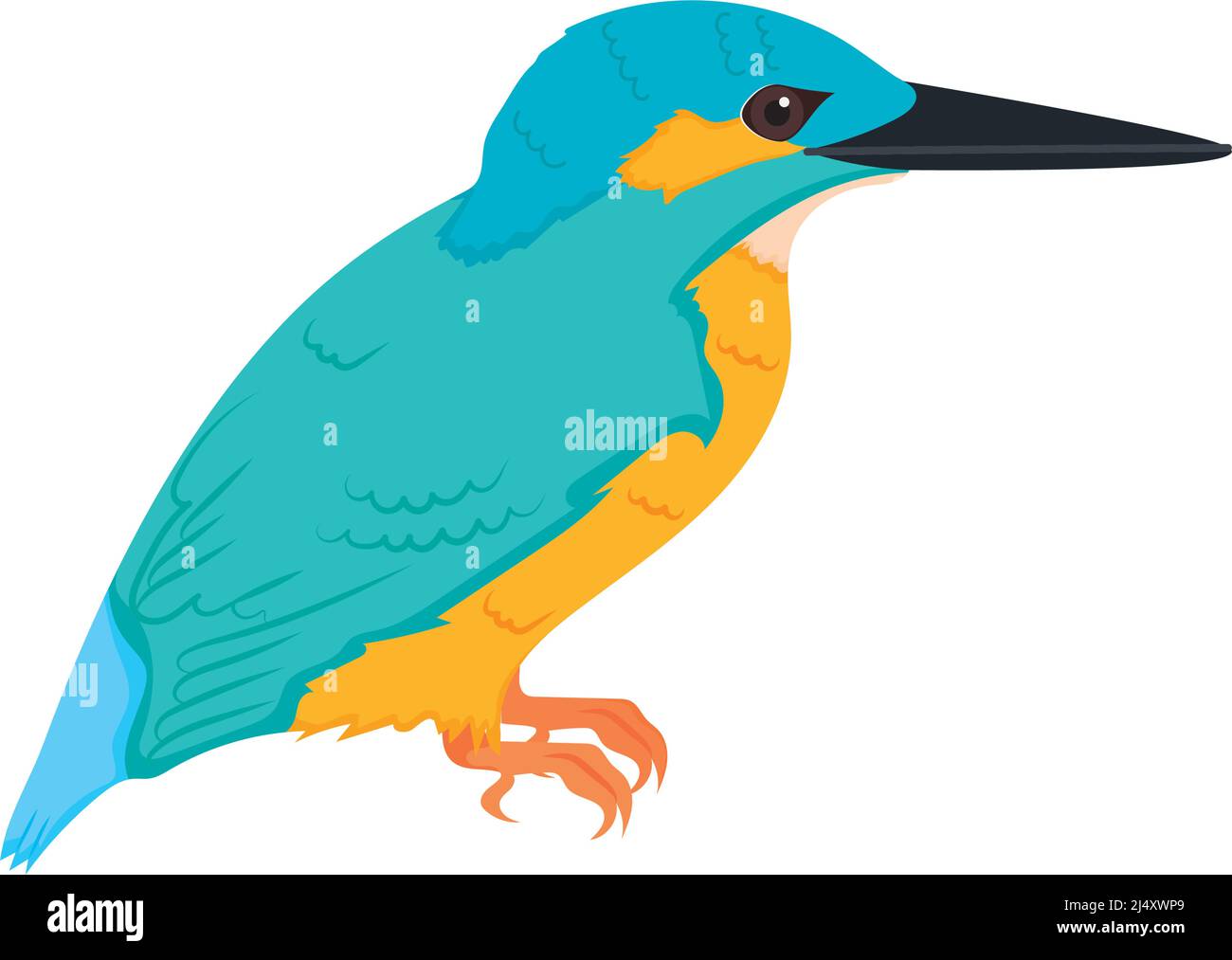 Kingfisher wings Stock Vector Images - Alamy