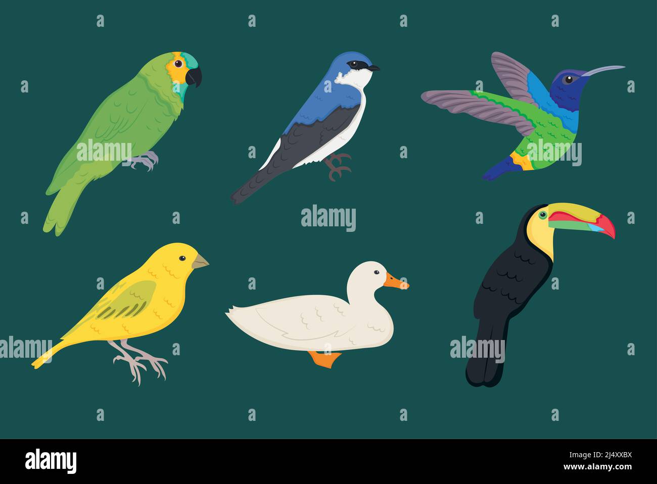 birds icon set Stock Vector Image & Art - Alamy