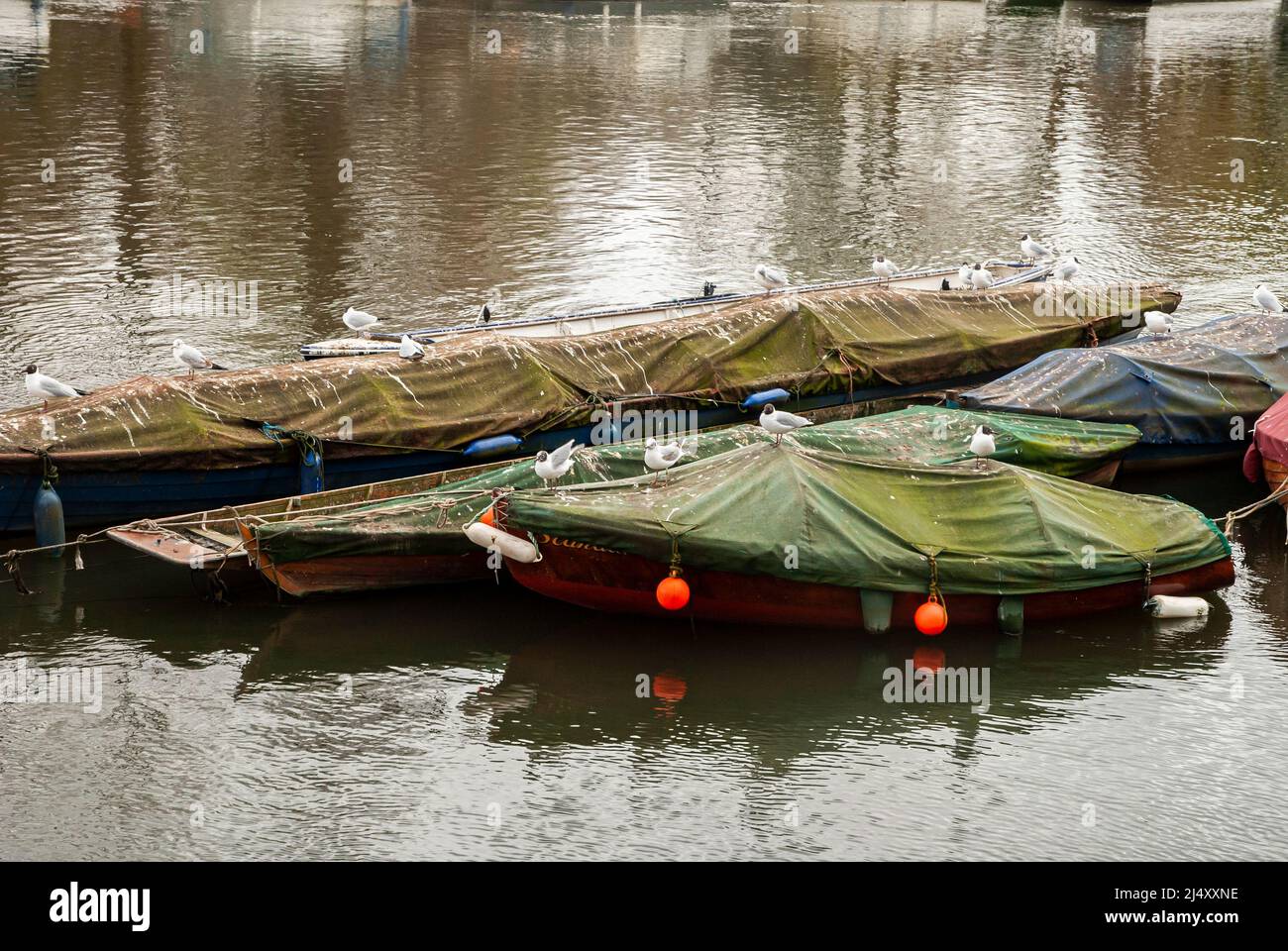 Covered punt flat bottom river wooden boats on river Thames waters in ...