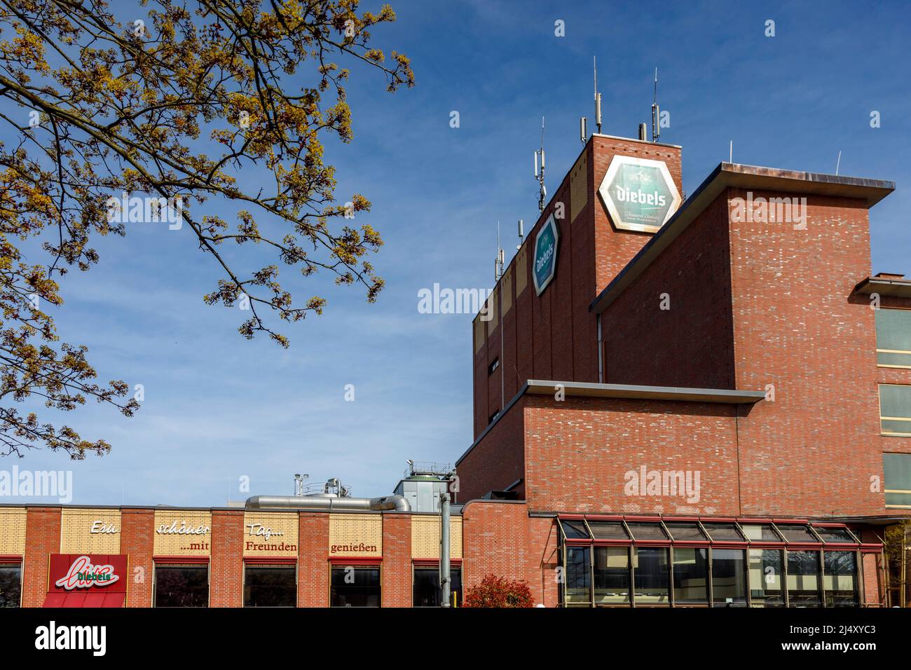 Brewery Diebels GmbH & Co. KG in Issum Stock Photo - Alamy