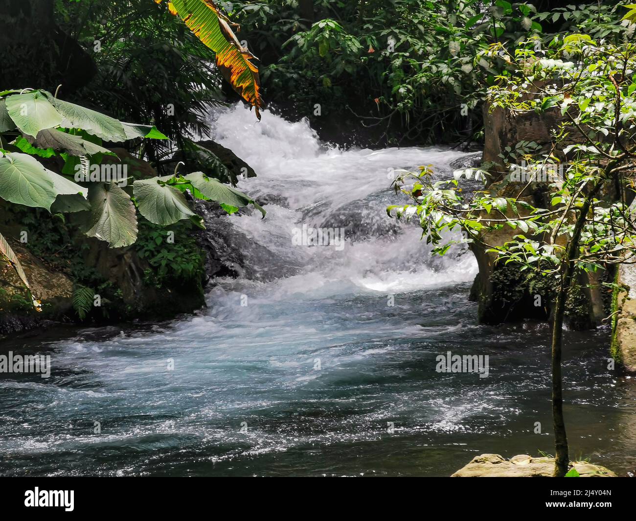Fast flowing water in the jungle Stock Photo - Alamy