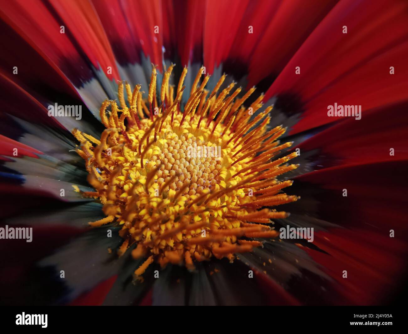 Angamacutiro hi-res stock photography and images - Alamy