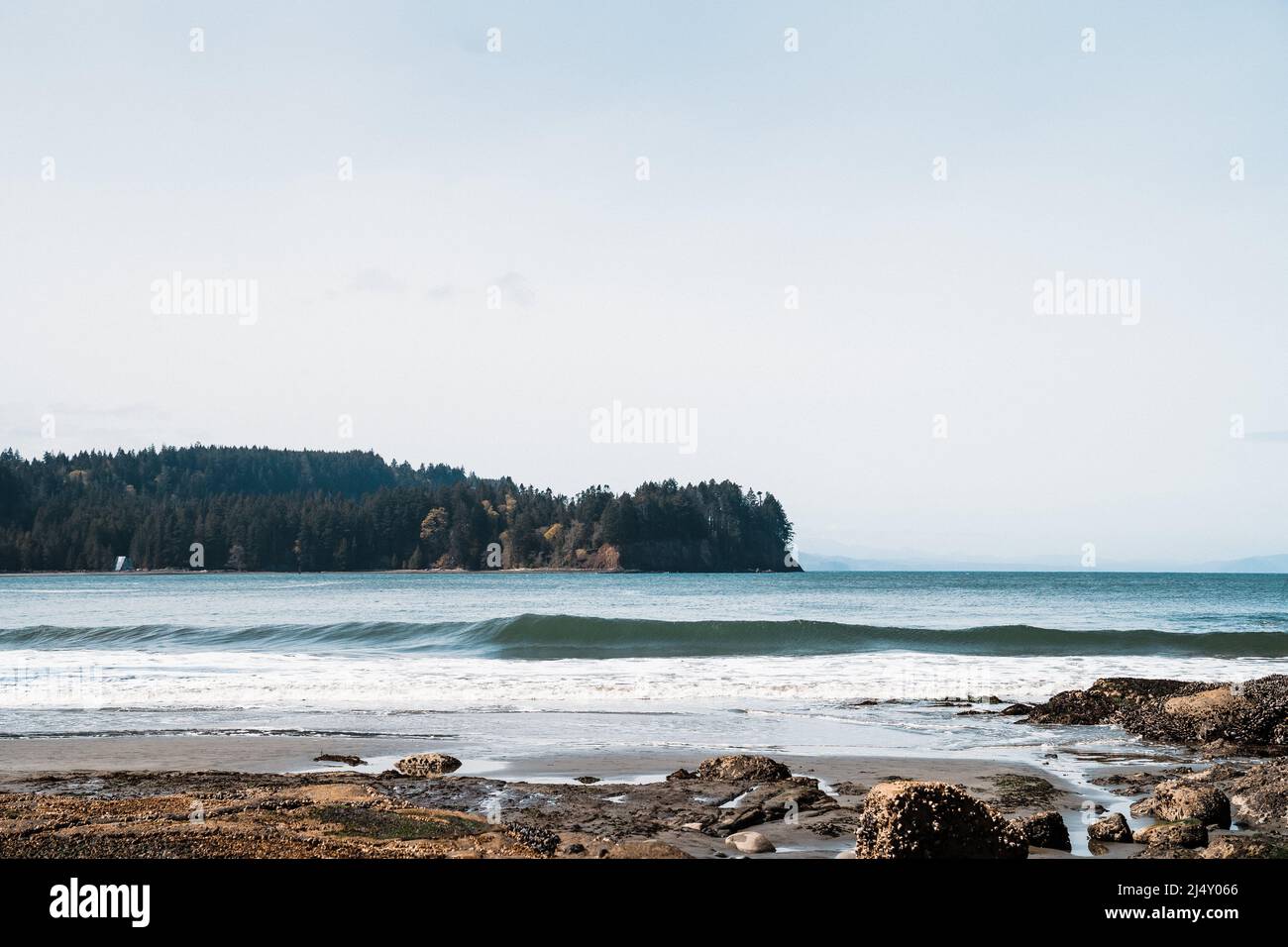 Wave about to break on a Pacific Northwest beach in Washington Stock ...