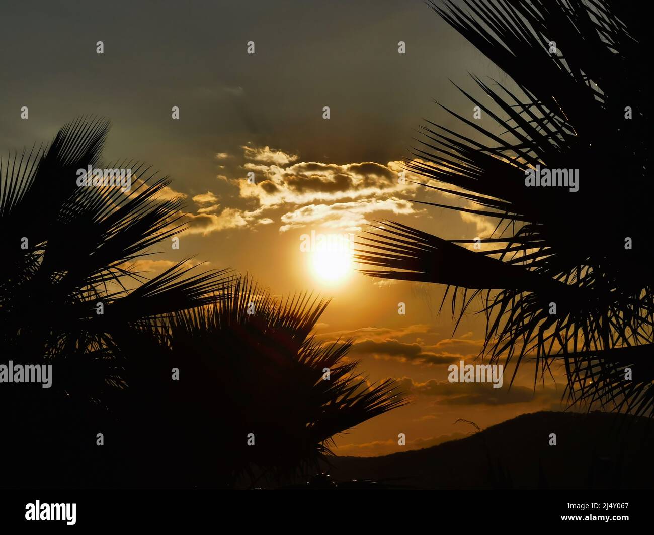 Palm trees accompanying the awakening of the sun Stock Photo - Alamy