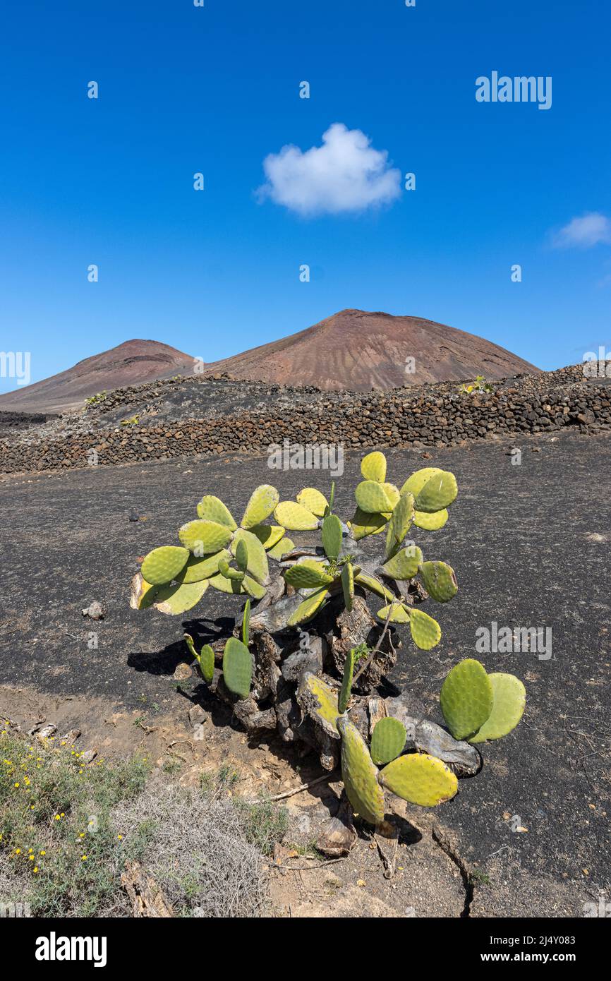 Volcanic island, landscape with beautiful scenery Stock Photo - Alamy