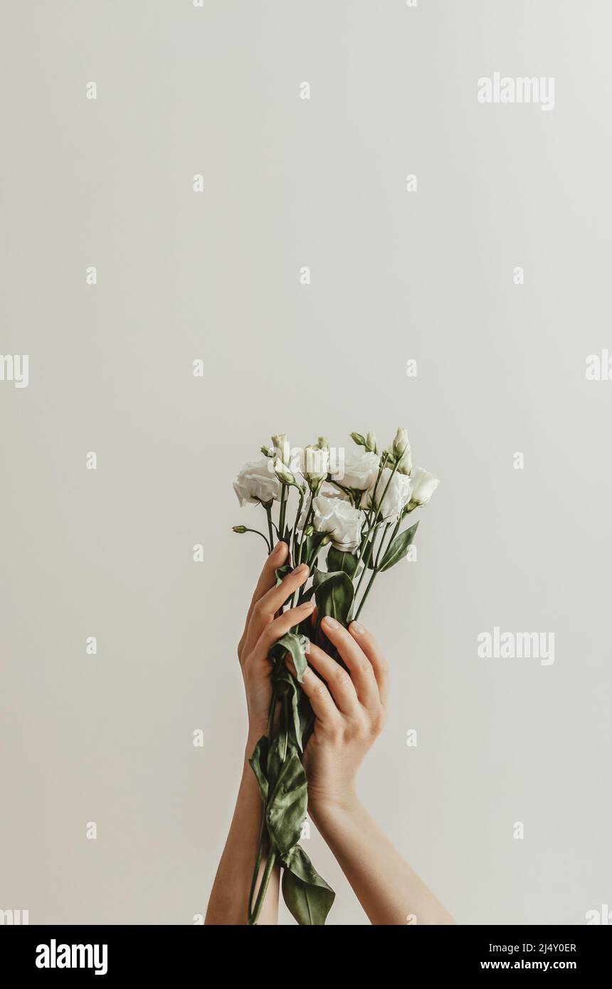 Close up female hands florist hi-res stock photography and images - Alamy