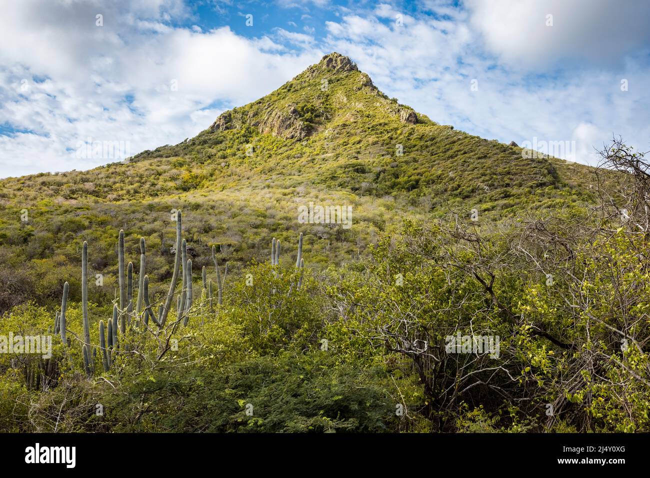 View from the Christoffel National Park up to Mount Christoffel ...