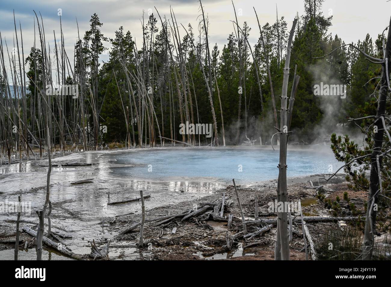 The Cistern Spring in Yellowstone National Park, Wyoming Stock Photo ...