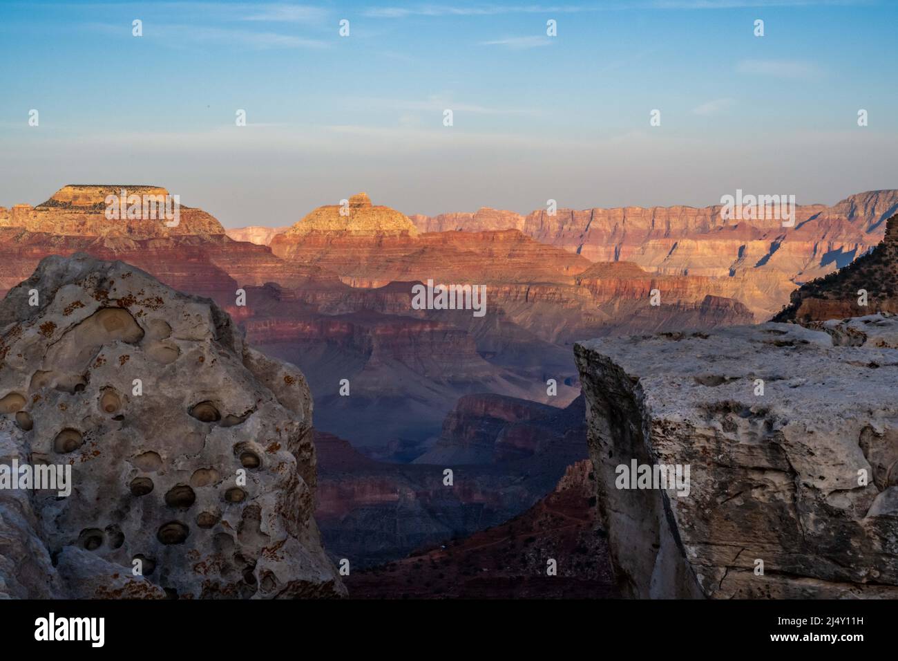 Tree overlooking grand canyon hi-res stock photography and images - Alamy