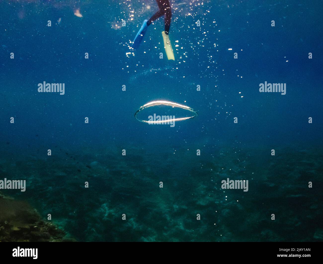 Mans flippers in ocean scuba diving adventure with deep blue water ...