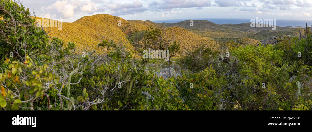 Sunrise over Christoffel National Park during the hike up to the top of ...