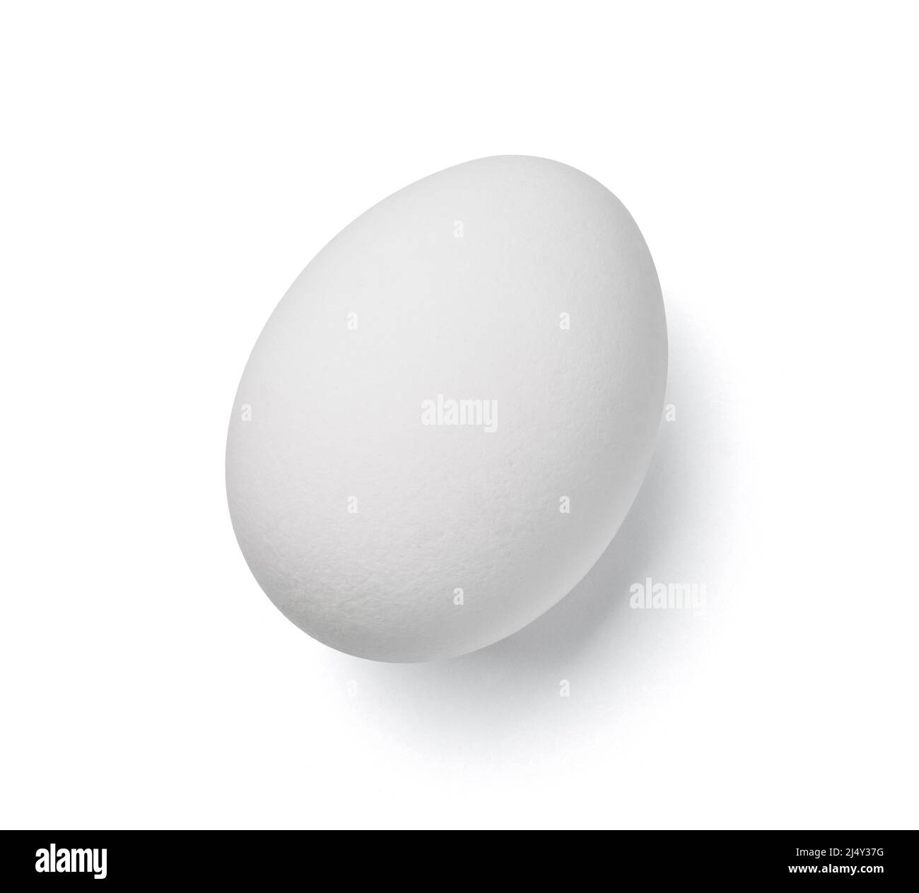 egg food white breakfast ingredient background protein isolated chicken ...