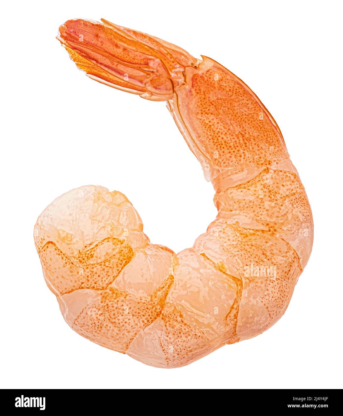 Macro closeup cooked shrimp Cut Out Stock Images & Pictures - Alamy