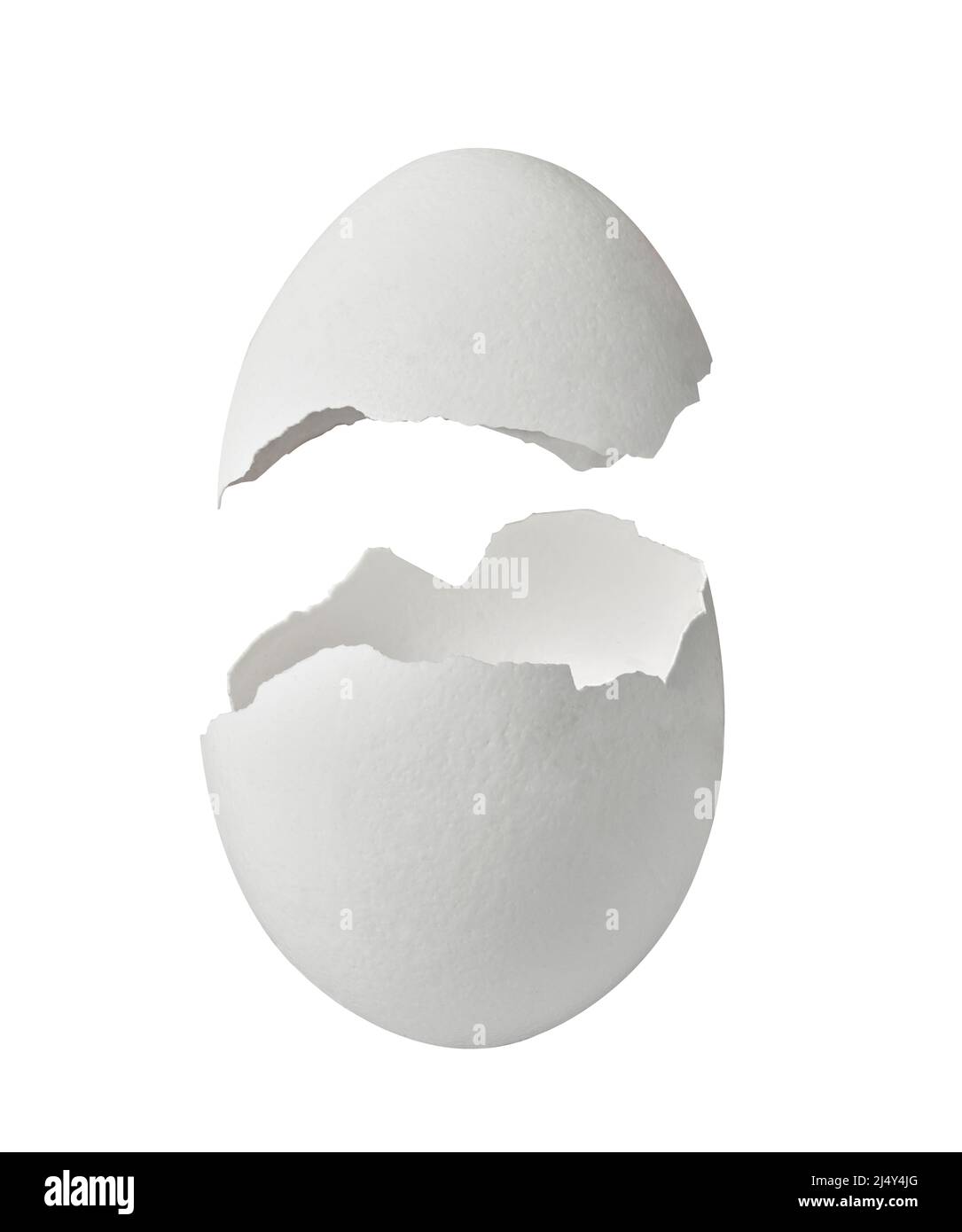 egg shell food white breakfast ingredient fragile protein half chicken ...