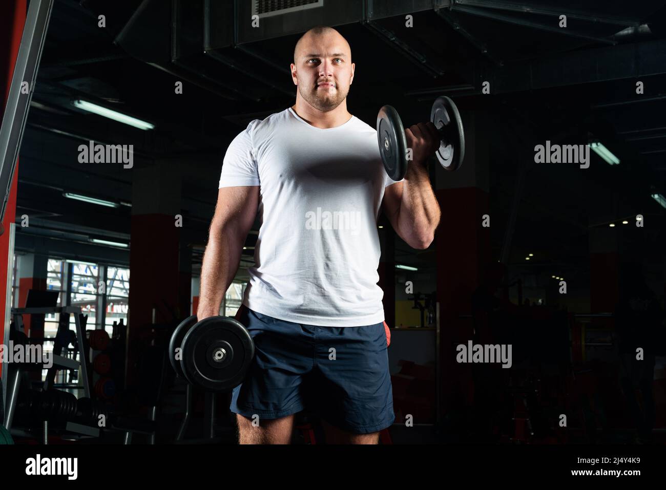 Male bodybuilder engaged with dumbbells in the gym Stock Photo - Alamy