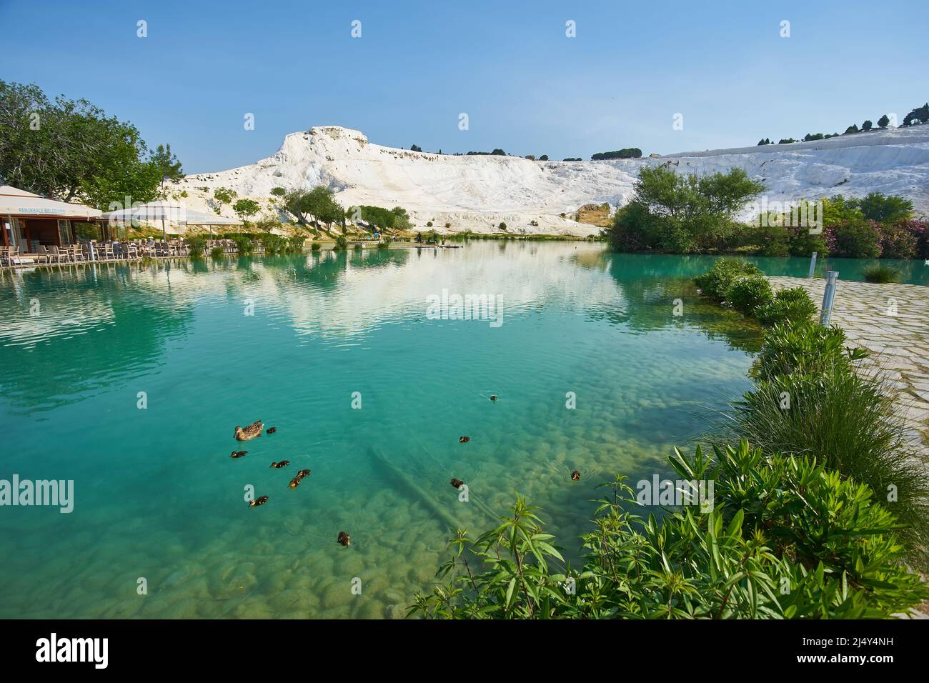 The small lake in Pamukkale on Turkey Stock Photo - Alamy