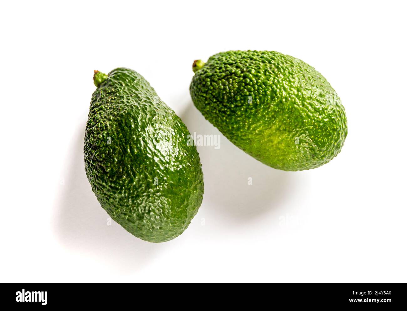 Two fresh avocados isolated on a white background Stock Photo - Alamy