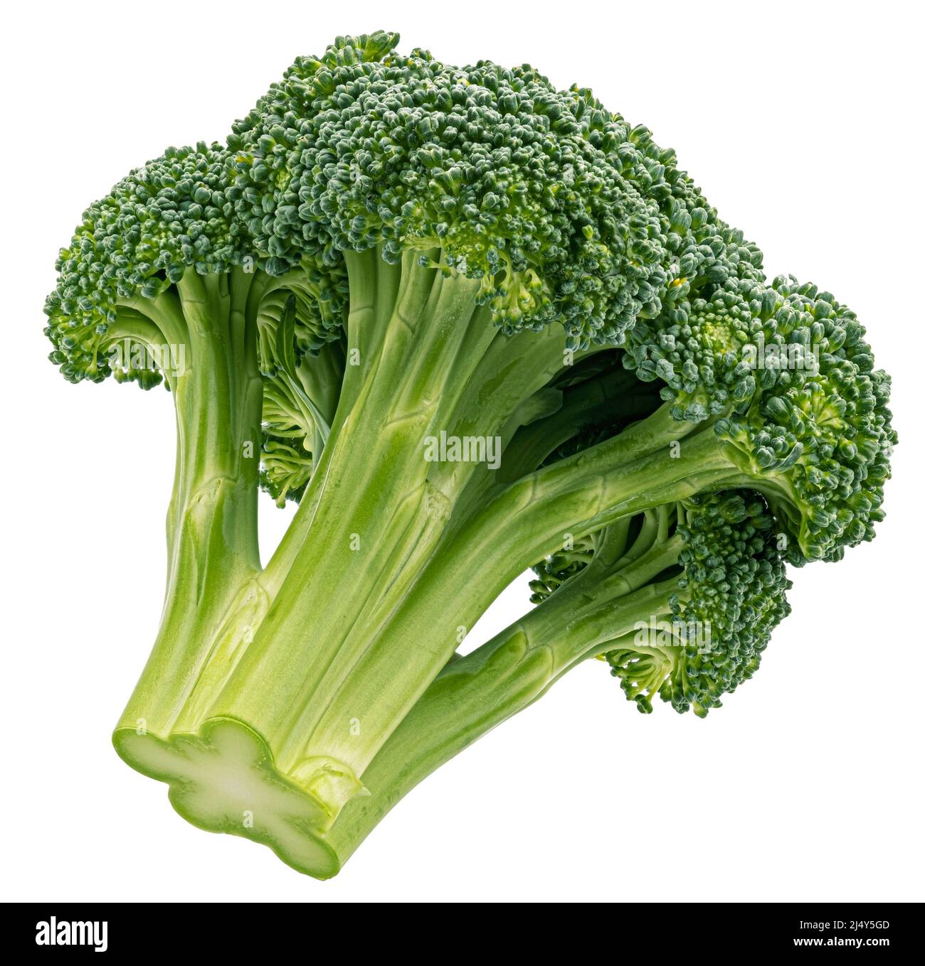 Broccoli isolated on white background Stock Photo - Alamy