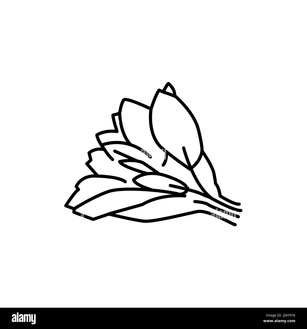 Sage app hi-res stock photography and images - Alamy