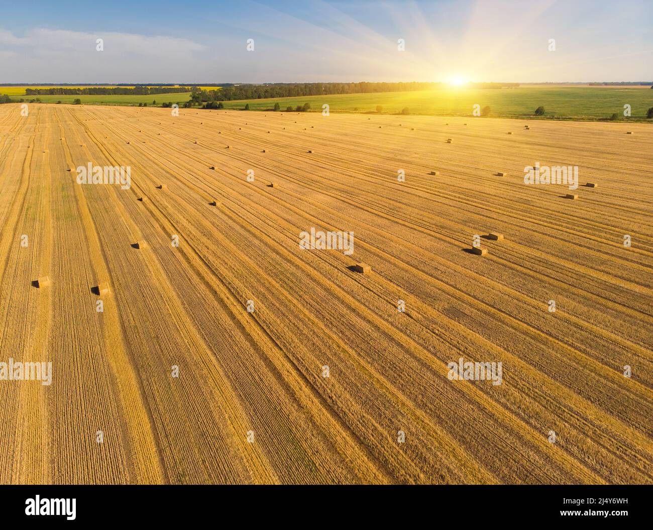 Aerial view of hay bales at sunset in summer. Top view of hay stacks ...