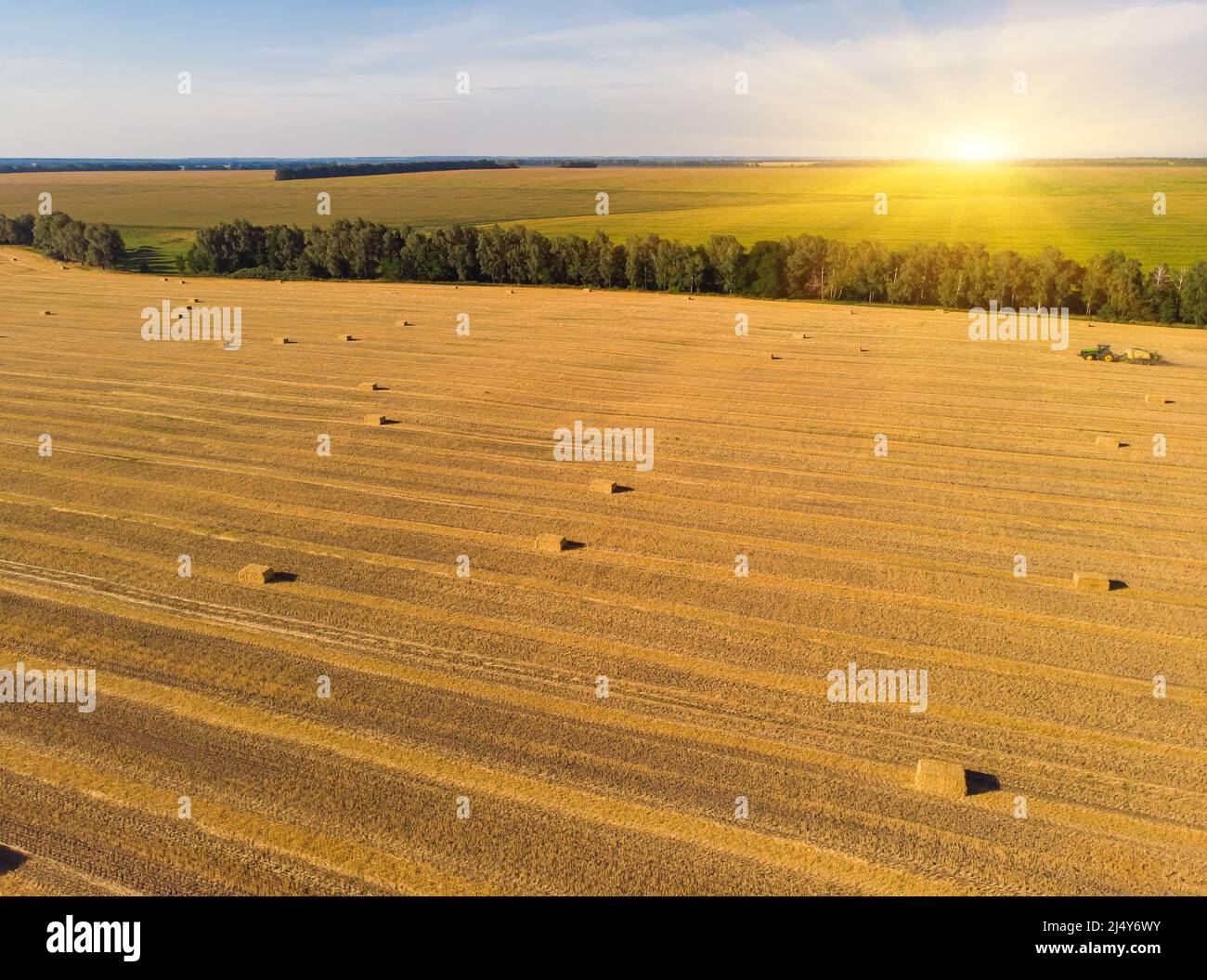 Aerial view of hay bales at sunset in summer. Top view of hay stacks ...