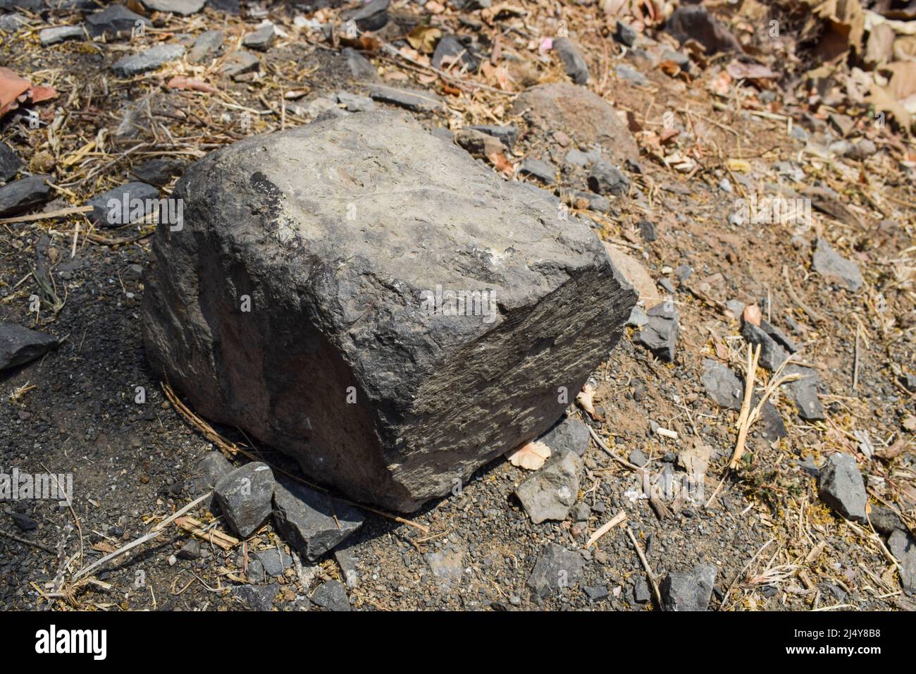 Big rock in forest in India. Naturally cut single isolate Big stone ...
