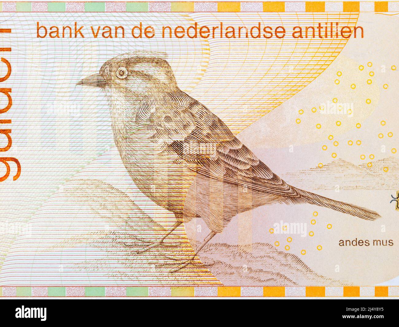 From the andean hi-res stock photography and images - Alamy